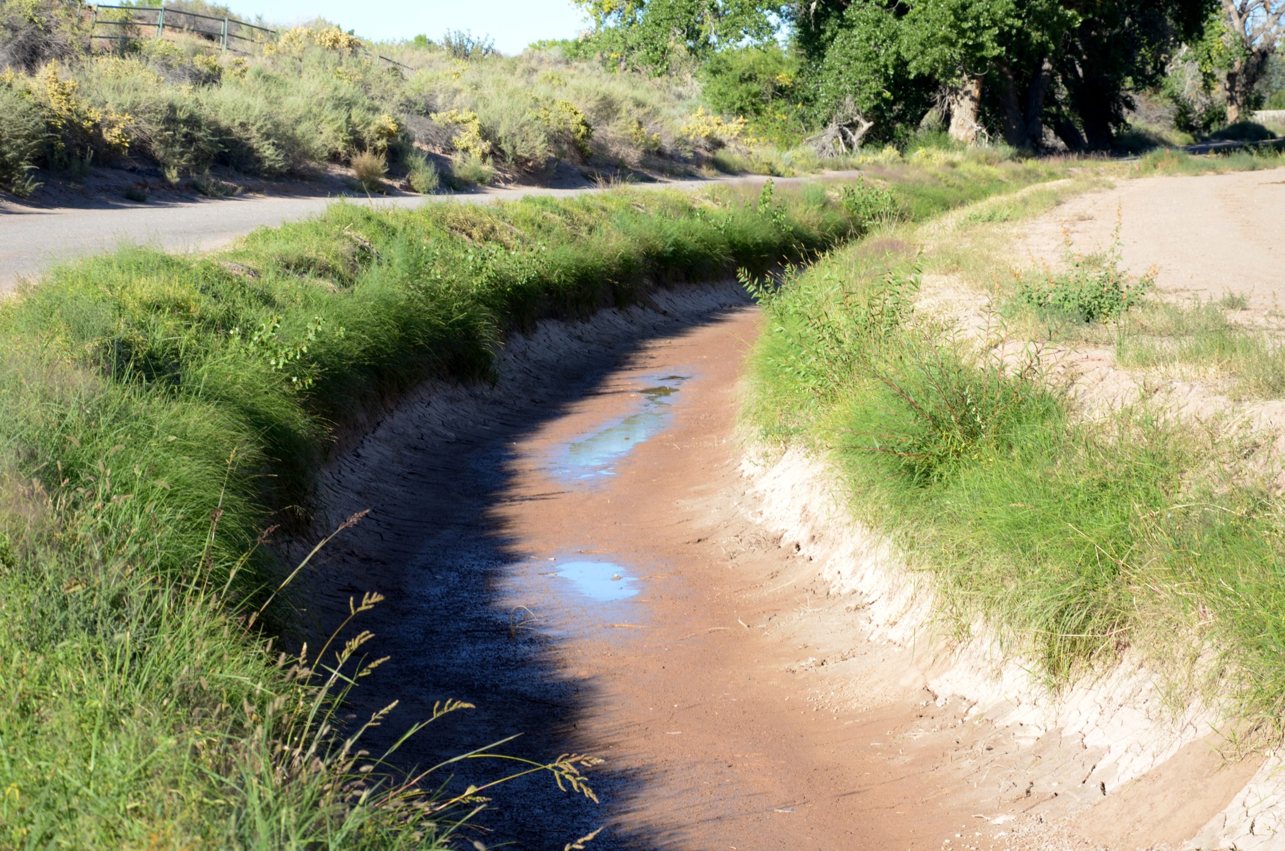 Corrales Facing Water Woes Amid Siphon Hold-Up - The Corrales Comment